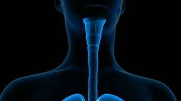 Causas e tratamentos da estenose de traqueia - Dr. Malucelli